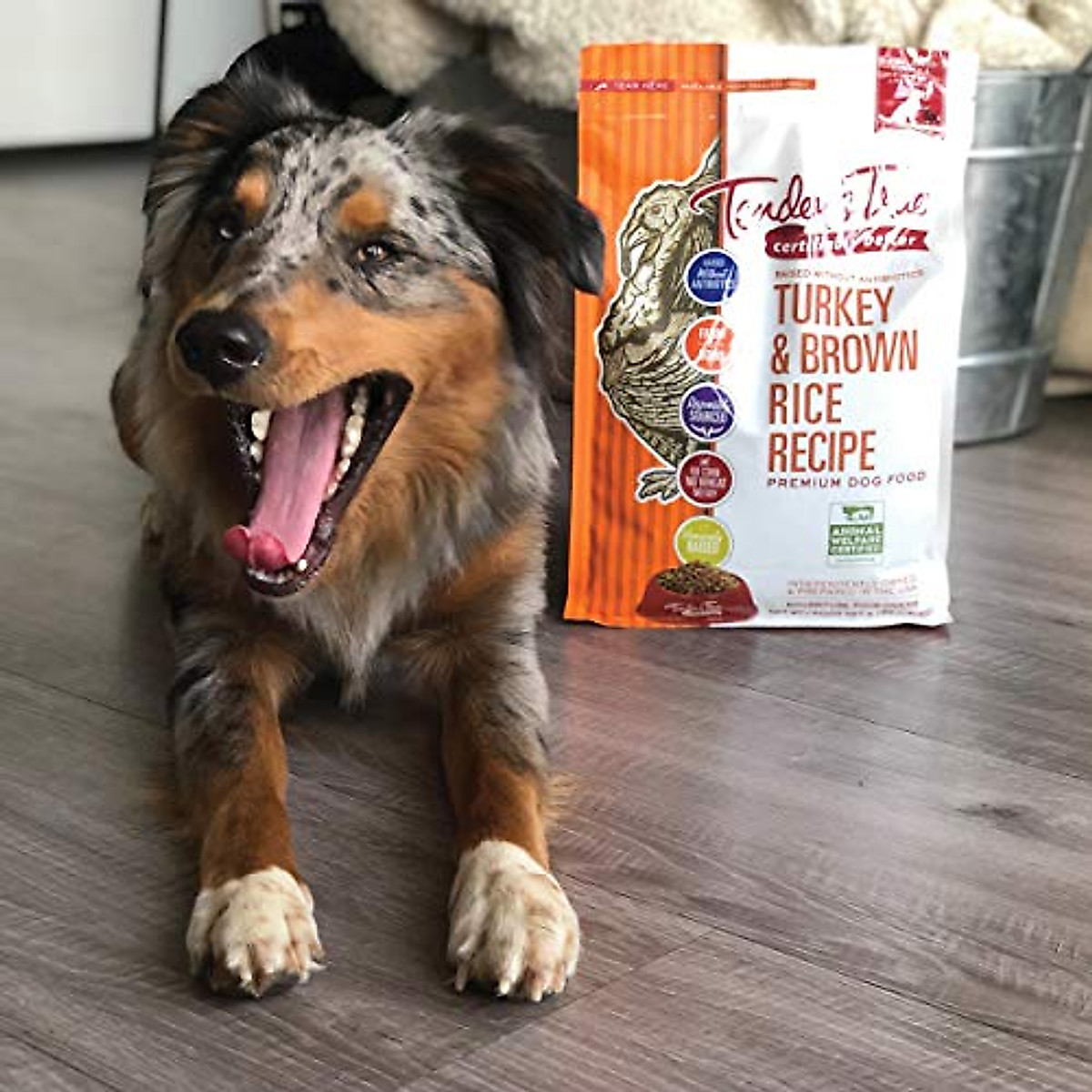 Tender & True Antibiotic-Free Turkey & Brown Rice Recipe Dog Food, 4 lb