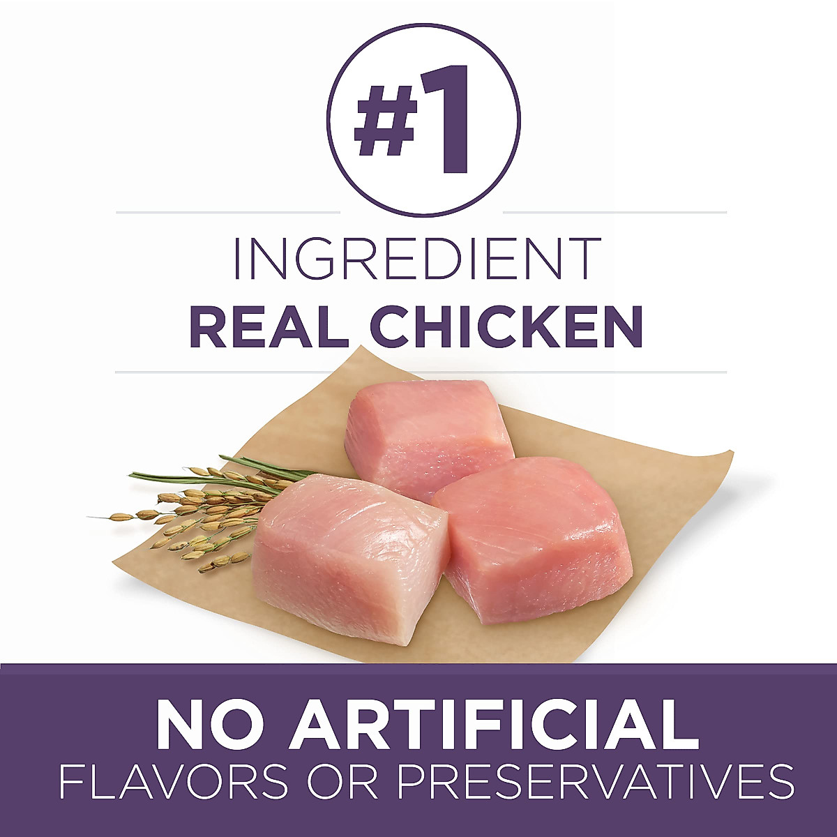 Purina ONE High Protein Dry Senior Dog Food Plus Vibrant Maturity Adult 7 Plus Formula - 8 lb. Bag