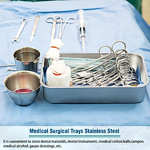 Fabbay 2 Medical Surgical Trays 201 Stainless Steel Dental Instruments Tray Organizer Holder Sterilized Metal Box with Lid and Handle Grip for Medical Surgical Dental Instruments (9 Inch)