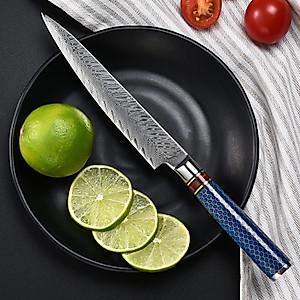 Utility Paring Knife 6 Inch Chef Knife Damascus Chefs Knife Utility Kitchen Knife Fruit Knife Japanese VG10 Kitchen Paring Knives High Carbon 67-Layer Gyuto Chef Knife Chopping Carving Knives