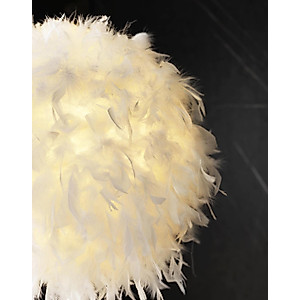 Surpars House Floor Lamp, Elegant White Feather Standing Lamp with On/Off Switch in Line