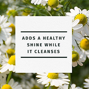 Herbal Essences Shine Collection Shampoo