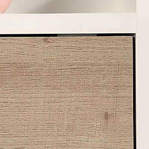 Sauder Anda Norr Wall Desk, White Finish