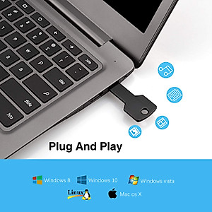 RAOYI 10 Pack 2GB USB Flash Drive USB 2.0 Metal Key Shape Memory Stick Thumb Drive Pen Drive-Black