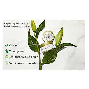 Scented Candles Gifts for Women, 6 Pack Luxury Aromatherapy Candles Gift Set for Home, Birthday, Mother’s Day, Bridesmaid's Gift Candles Bulk Scented - Assorted 3oz