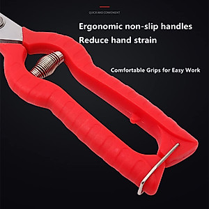 Extra Long Garden Scissors Gardening Tools Micro-Tip Pruning Shears, Non-Stick Precision-ground Blades, 9.6” Sharp Plant Fruit Trees Bonsai Sharp Garden Scissors