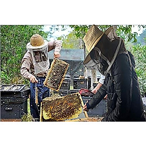 BeesNise Beekeeping Veil Hat Beekeeper Hat with Anti-bee Netting Professional Bee Keeping Supplies