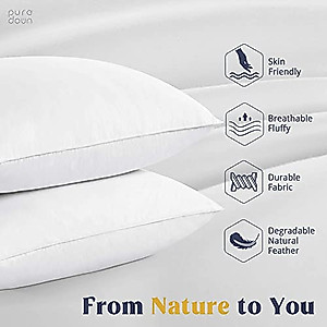 puredown Goose Down Feather White Pillow Inserts, 100% Cotton Fabric Cover Bed Pillows, Set of 2 Standard Size