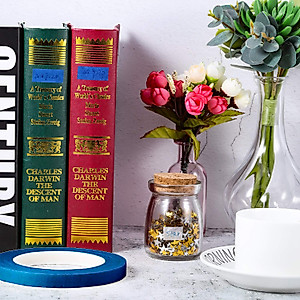 Chuangdi 1/2 Inch Width x 55 Yards Multi-use Painter's Tape, Masking Tape Drafting Tape Scrapbooking Tape (Blue,12 mm)