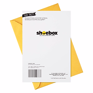 Hallmark Shoebox Pack of 2 Funny Birthday Cards (Birthday Cod, Noah's Ark)