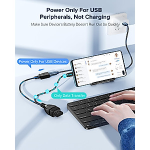 ANDTOBO 2-in-1 Micro USB (OTG Cable with Power) Adapter Replacement for Fire Stick 4K /Host Devices/PlayStation Classic etc- 2 Pack