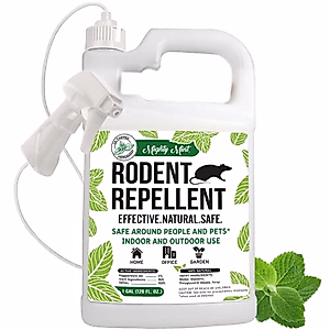 Mighty Mint Gallon (128 oz) Rodent Natural Peppermint Oil Spray