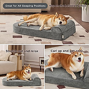 Lesure Orthopedic Dog Beds for Medium Dogs, Medium Memory Foam Dog Bed Pillow with Removable Washable Cover and Anti-Slip Bottom, Waterproof Liner Included, Grey, 34" L x 22" W x 7" H