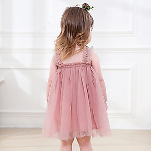 Century Star Baby Girl Dresses First Birthday Outfit Girl 1st Birthday Girl Outfit Baptism Toddler Flower Dress Half Birthday Outfit Easter Tulle Tutu Infant Gifts 12-18 Months A Dusty Rose