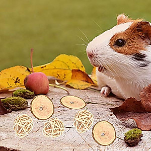 S-Mechanic Bunny Chew Toys Natural Apple Wood Small Animal Chew Toys for Rabbits Chinchilla Hamsters Guinea Pigs Gerbils (Pack 1)