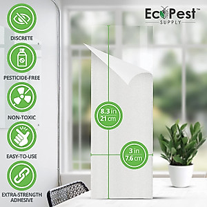 Window Fly Traps – 12 Pack | Transparent Sticky Fly Trap for Windows | Discrete, Extra Large Insect Glue Trap and Indoor Bug Catcher for House Flies and Other Flying Insects