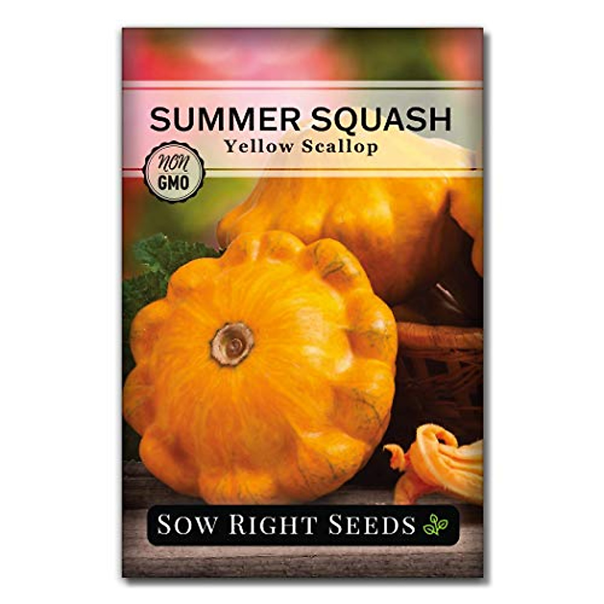 Sow Right Seeds - Squash Seed Collection for Planting - Individual Packets Straightneck Summer, Yellow Scallop, Round Zucchini, Waltham Butternut and Spaghetti Squash, Non-GMO Heirloom Seeds