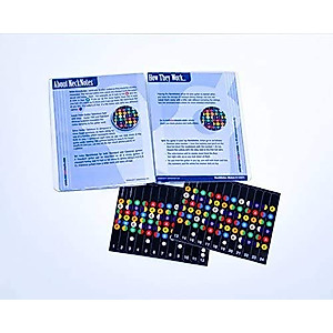 NeckNotes Guitar Trainer | Color Coded Fretboard Fret Map Guitar Note Stickers for Beginner to Advanced Learning of Guitar and Music Theory | Standard Edition (For Acoustic and Electric Guitars)