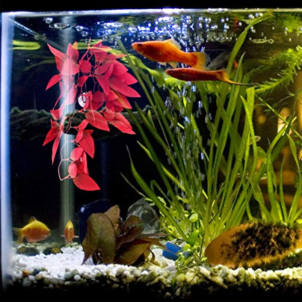 POPETPOP Aquarium Artificial Plant Fake Aquatic Plants Suction Cup Rattan Ornament for Fish Tank Landscape Decoration Red