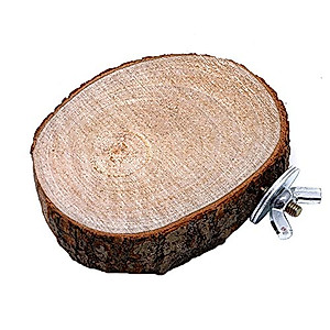 Keersi Natural Wood Perch Stand Toy for Small Medium Pet Bird Parrot Budgie Parakeet Cockatiel Conure Lovebird Finch Canary Hamster Gerbil Rat Chinchilla Squirrel Cage Platform