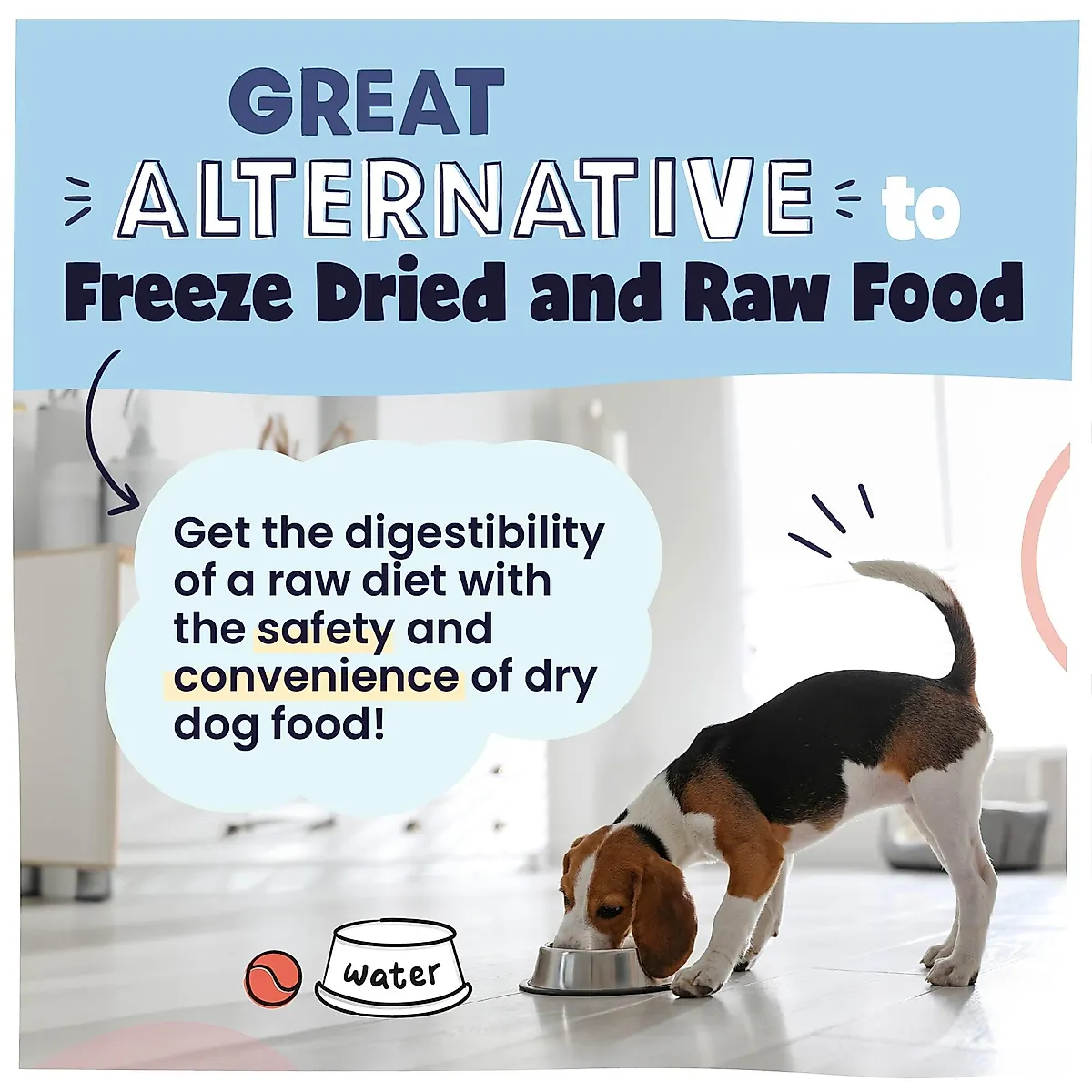 Pawstruck All Natural Air Dried Dog Food with Real Beef, Grain Free, Made in USA, Non-GMO, Vet Recommended, High Protein Limited Ingredient Full-Feed, All Breeds & Ages, 2.5oz Trial Bag