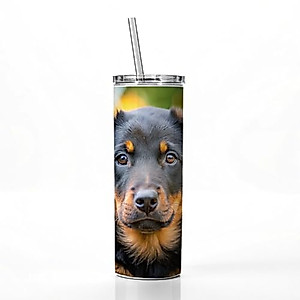 Beauceron Dog Puppy Photo Skinny Tumbler 20oz with Straw Insulated Water Bottle Gift