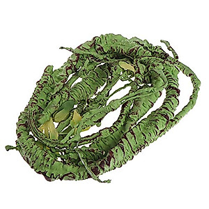 PIVBY Flexible Bend-A-Branch Jungle Vines Pet Habitat Decor Reptile Plants Terrarium for Lizard,Frogs, Snakes and More Reptiles Climbing (Fat:0.7943.31 Inch)