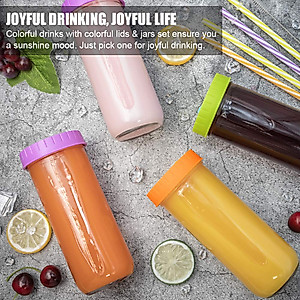 Glass Drinking Bottle Travel Drinking Jars 6 Pack, 16oz Mason Jars Regular Mouth Beverage Bottle with Airtight Lids &Straws, Reusable Water Bottle Skinny Tumbler for Juice/Smoothies,/Kombucha/Tea/Milk
