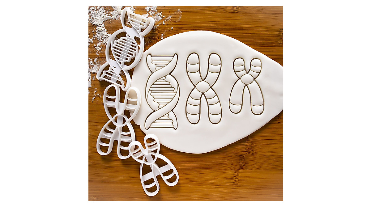 DNA Themed Cookie Cutters Set - 3 Designs