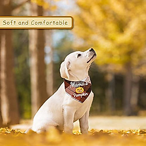 Fall Dog Bandana - Set of Washable Reversible Square Plaid Pet Kerchief Scarf for Halloween（Large）