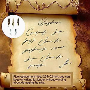 SHUEYEH Caligraphy Kits for Beginners, Feather Pen and Ink Set, Quill Pen X2, 10 Replacement Nibs, Silver Pen Stand, Antique Calligraphy Dip Pen with Black Ink (Pheasant+Turkey)