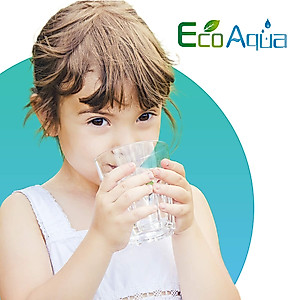 EcoAqua WF1CB Refrigerator water Filter, Replacement for WF1CB, WFCB®, RG100, WF284, NGRG2000, 469910, 9910, Pack of 3