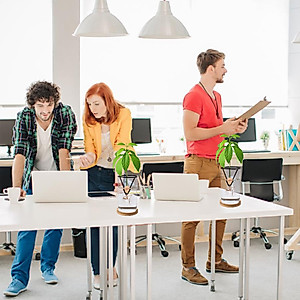 Bylion Avocado Tree Growing Kits, Avocado Growing Vase Wooden Base Avocado Seed Starter Vase Glass Plant Pot Easy Seed Sprout Starter Gift for Women Gardening Lovers Home Office Table Decoration