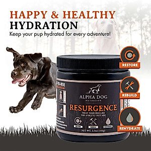 Resurgence Dog Electrolytes by Alpha Dog Nutrition | Promote Dog Hydration, Increase Stamina, and Boost Recovery | Electrolyte Water Additive or Food Topper to Prevent Dehydration with Beef Flavoring