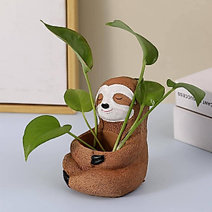 AIPOGOOIN Air Plants Holders Unique, Sloth Gifts for Women Plant Lovers Gardeners Coworkers Girls, Cute Sloth Decor for Home Office Desk