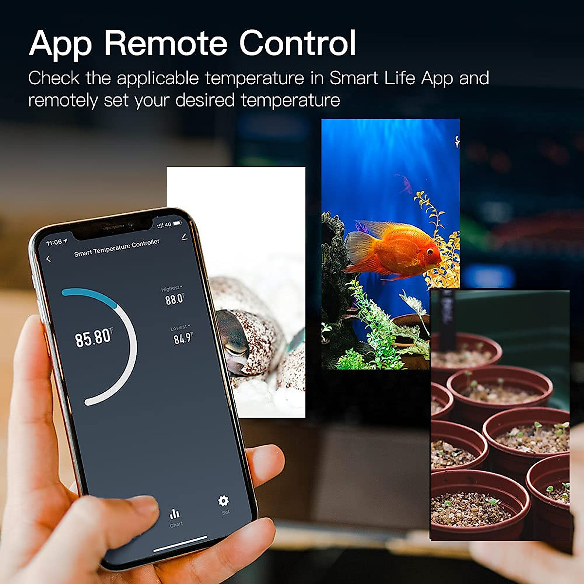 MOES Smart WiFi Reptile Thermostat Outlet Heating Cooling, Tuya Digital Temperature Controller Sensor Plug for Fermenter Brewing Breeding Heat Mat, Smart Life Remote Control, -22- 221℉,10A 1250W