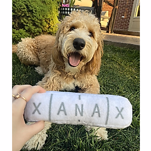 Nestpark Chill Pup Funny Dog Toy - Parody Plush Squeaky Crinkle Dog Toy