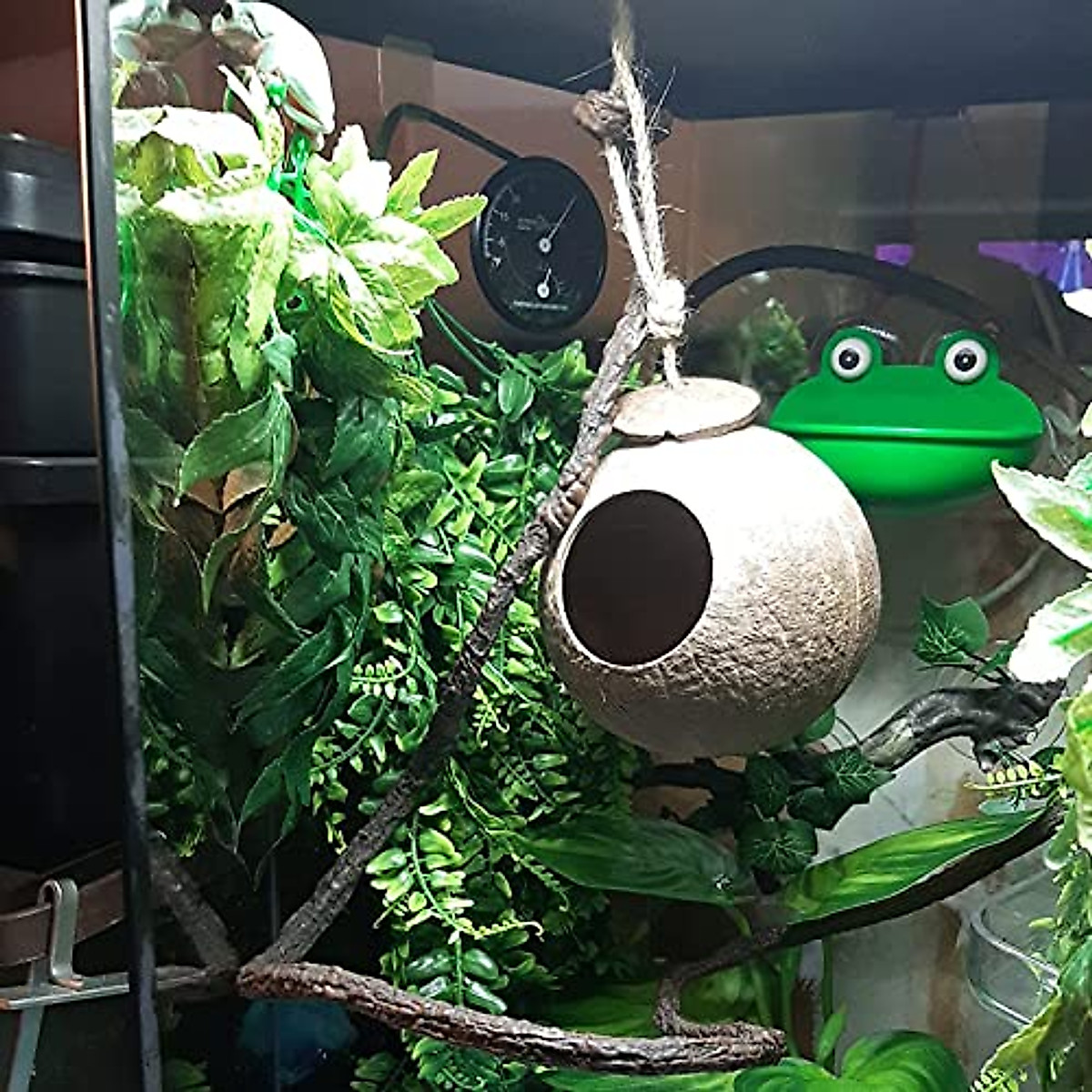 MUYG 4 PCS Crested Gecko Coconut Hide Natural Lizard Coco Hut Reptile Hanging Nest Flexible Vine Habitat Decoration Bearded Dragon Terrarium Accessories for Tortoise Chameleon Snake Spider
