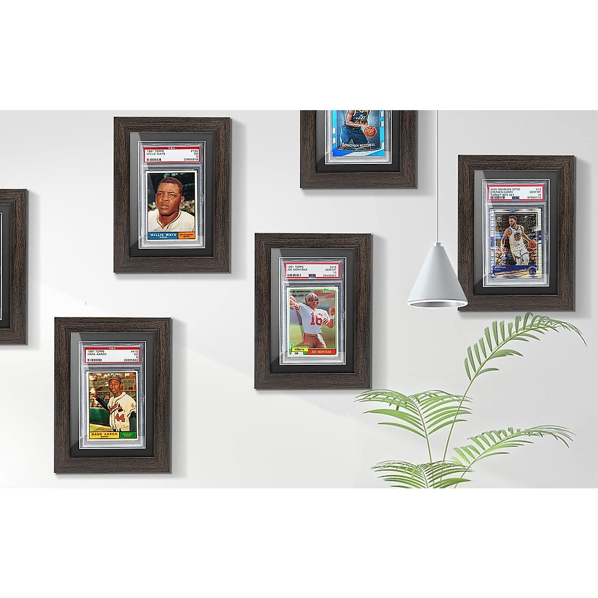 tutata PSA Graded Card Display Frame, Walnut Frame for PSA Card, Sport Card Display Case