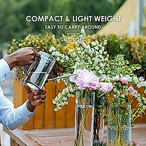 Watering Can Indoor, Small Watering Cans for House Plants, Succulents and Flowers, Long Spout, 1 Liter, with Bonus Plant Mister Spray Bottle