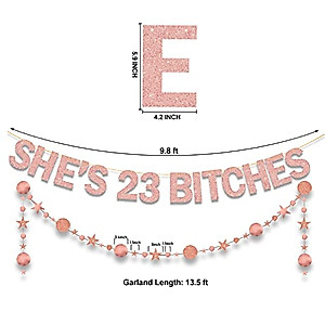 Ushinemi She's 23 Bitches Banner 23rd Birthday Decorations for Women, Funny Glitter Rose Gold Birthday Banner With Circle Dot Twinkle Star Garland