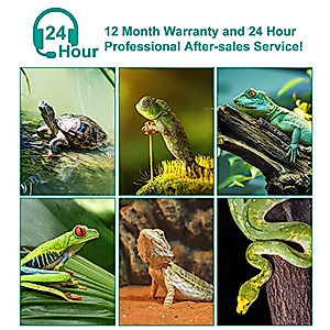 BOEESPAT 2 Pack 100W Reptile Heat Lamp Bulbs, UVA Reptile Light Bulb (2nd Gen), Daylight Basking Bulb for Bearded Dragon, Lizard,Tortoise,Hedgehogs,Amphibian...