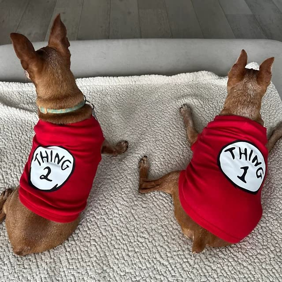 SUEOSU Dog Shirts for Pet Clothes Soft Breathable Puppy Shirts Pop Culture Thing 1 to Thing 9 Printed Pet T-Shirt (RED-2, Small)