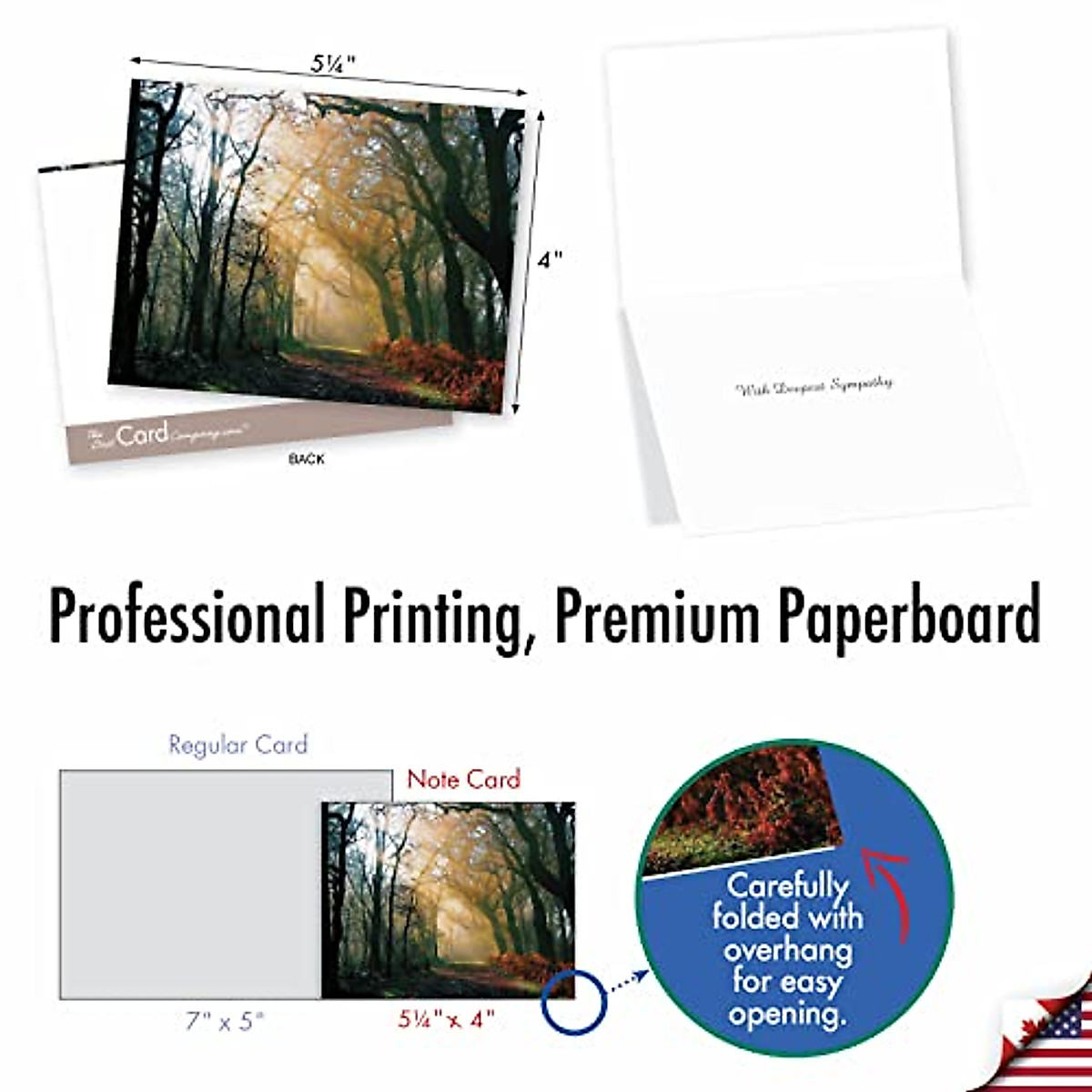 The Best Card Company - 10 Assorted Sympathy Cards Boxed (4 x 5.12 Inch) - Condolence, Bereavement Greetings - Shining Through AM1735SMG-B1x10