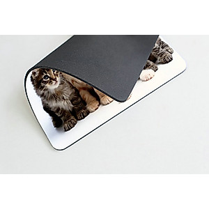 Smooffly Cats Mouse pad for Computers, Kittens Family Cats Mouse Pad