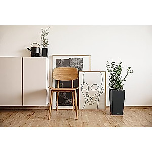 Lechuza 13138 Cubico Color 30 Self-Watering Planter for Indoor and Outdoor Use, 12" x 12" x 22", Slate