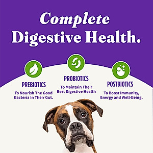 Halo Holistic Plant-Based Recipe With Superfoods, Complete Digestive Health, Vegan Dry Dog Food Bag, Adult Formula, 10-lb Bag