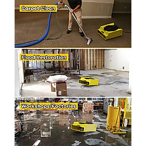 AlorAir 4 Pack Zeus 900 Air Mover Commercial Blower for Carpets, Walls, Plumbing Use, Variable Speed Floor Blower Fan, 950 CFM with 1.8 Amps, Circuit Breaker Protection, on-Board Duplex GFCI, Yellow