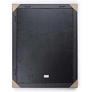 Displays2go Wall Mount Poster Frame and Hooks for Portrait or Landscape Graphics, 18 by 24-Inch, Black