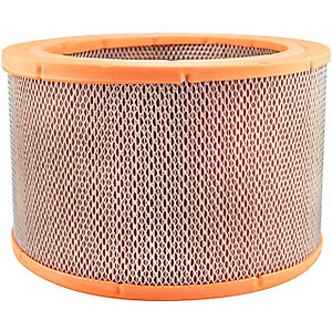 Baldwin PA5665 Heavy Duty Air Filter (9-23/32 x 6 in.)